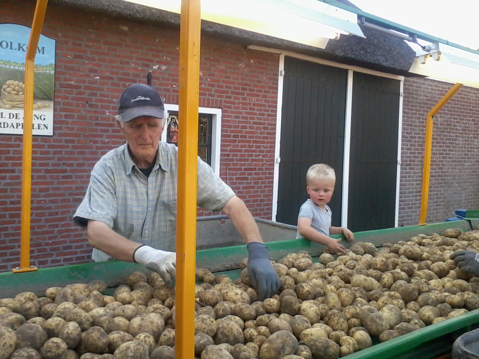 Aardappelen rooien - Aardappelhandel Fokke de Jong
